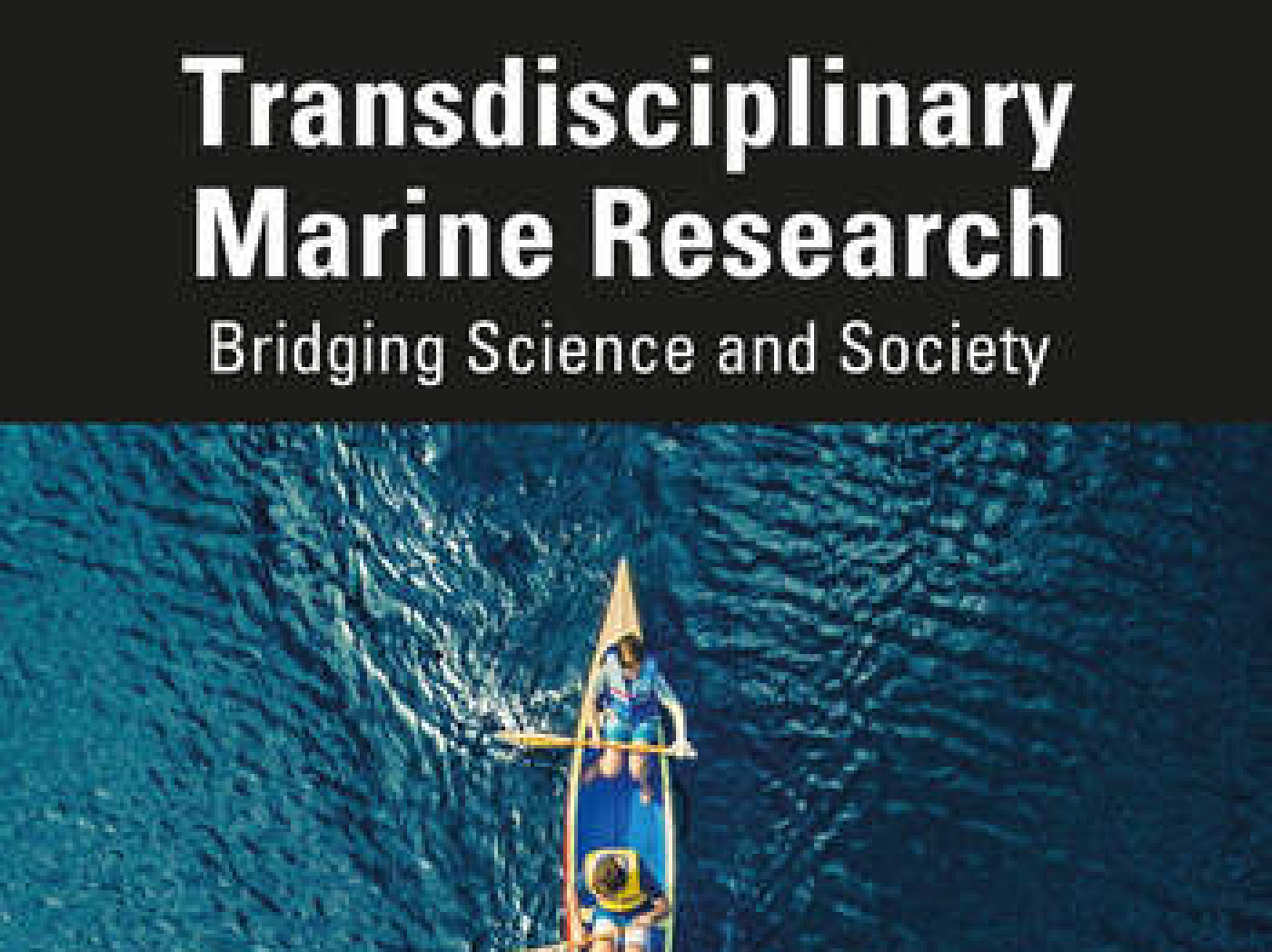 Understanding transdisciplinarity